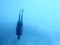 World Record Freedive - Big Geek Daddy