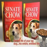 Senate Chow Dog Food - Big Geek Daddy