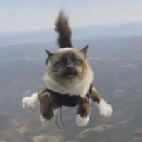 Skydiving Cat - Big Geek Daddy