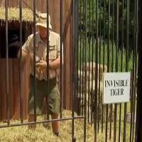 Invisible Tiger At The Zoo - Big Geek Daddy