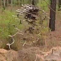 Anthill Model - Big Geek Daddy