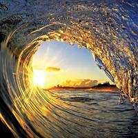 Perfect Wave Photographer - Big Geek Daddy