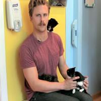 Manly Men Meet Kittens - Big Geek Daddy