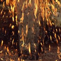 Slow Motion Match Head - Big Geek Daddy