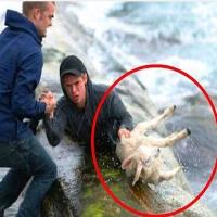 10 People Who Saved Animals - Big Geek Daddy