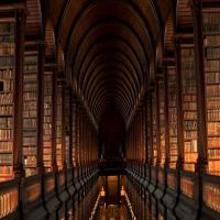 Magnificent Irish Library - Big Geek Daddy