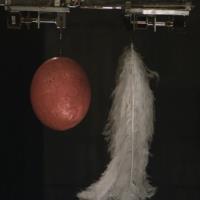Bowling Ball Vs. Feather - Big Geek Daddy