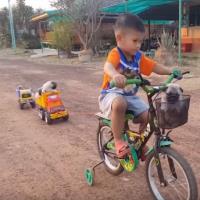 The Cutest Little Puppy Train - Big Geek Daddy