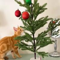 Cat Vs. Christmas Tree - Big Geek Daddy