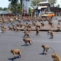 This Is Your Internet - Big Geek Daddy