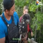 How To Rescue A Skunk - Big Geek Daddy