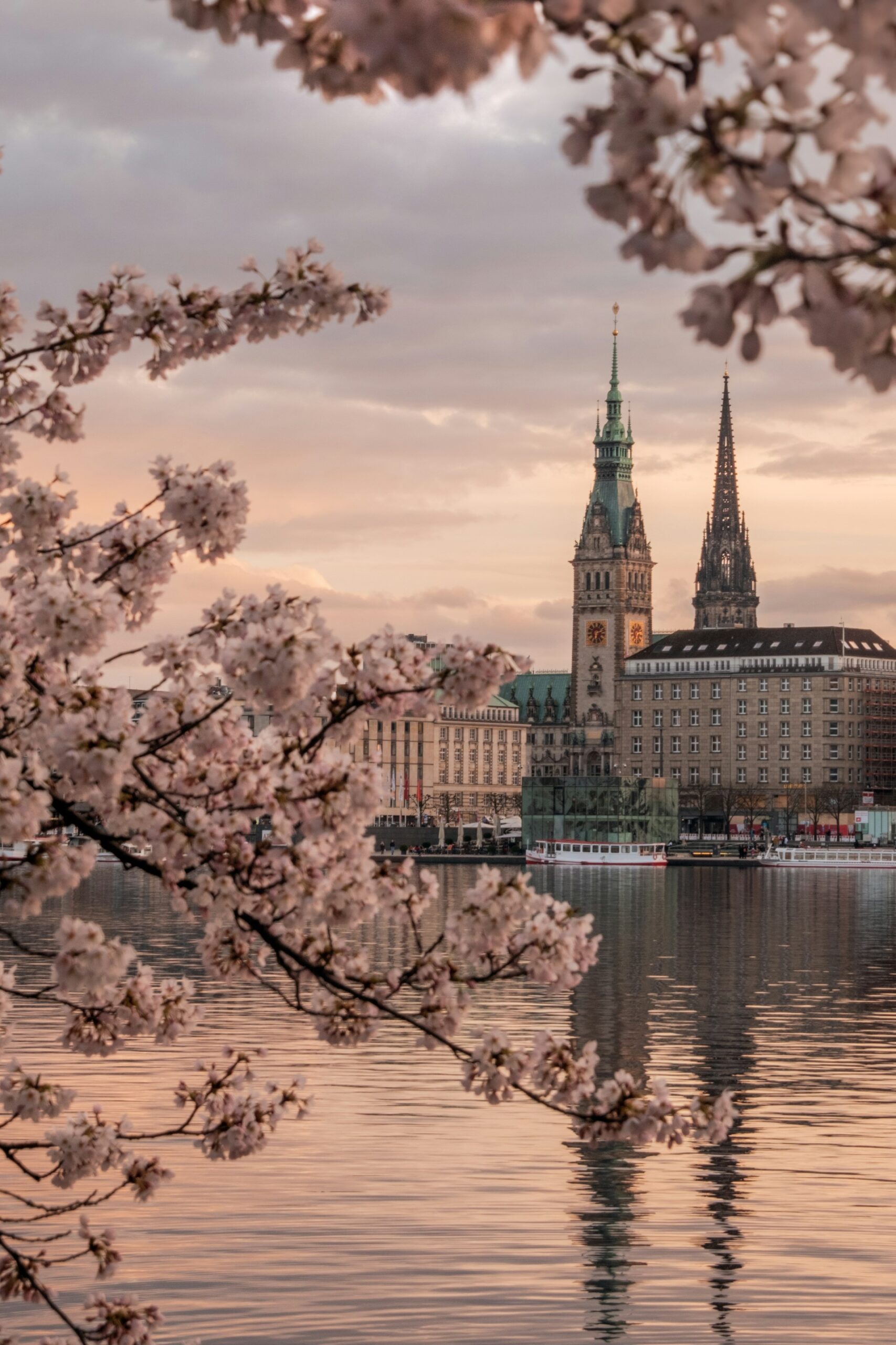 Photo Of The Day - Beautiful and Interesting Photo
