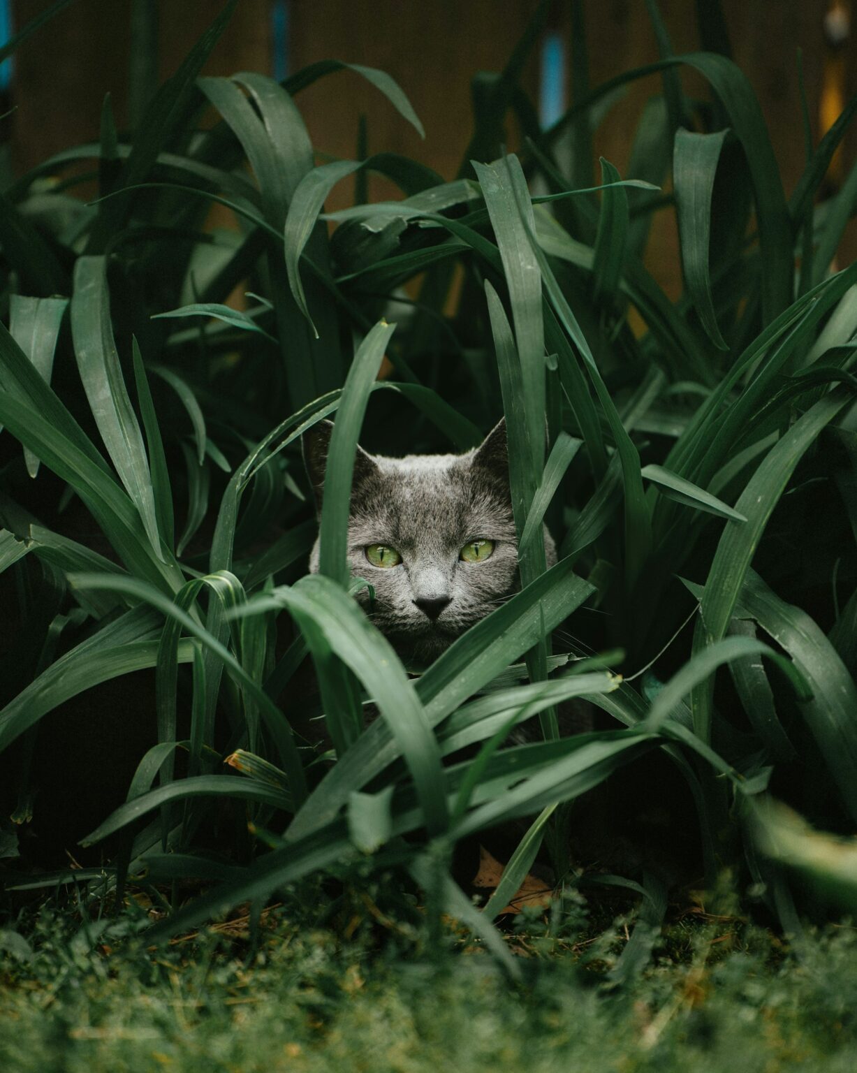 Photo Of The Day - Beautiful and Interesting Photo