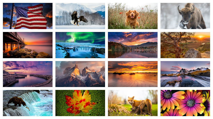 Photo Of The Day - Beautiful and Interesting Photo