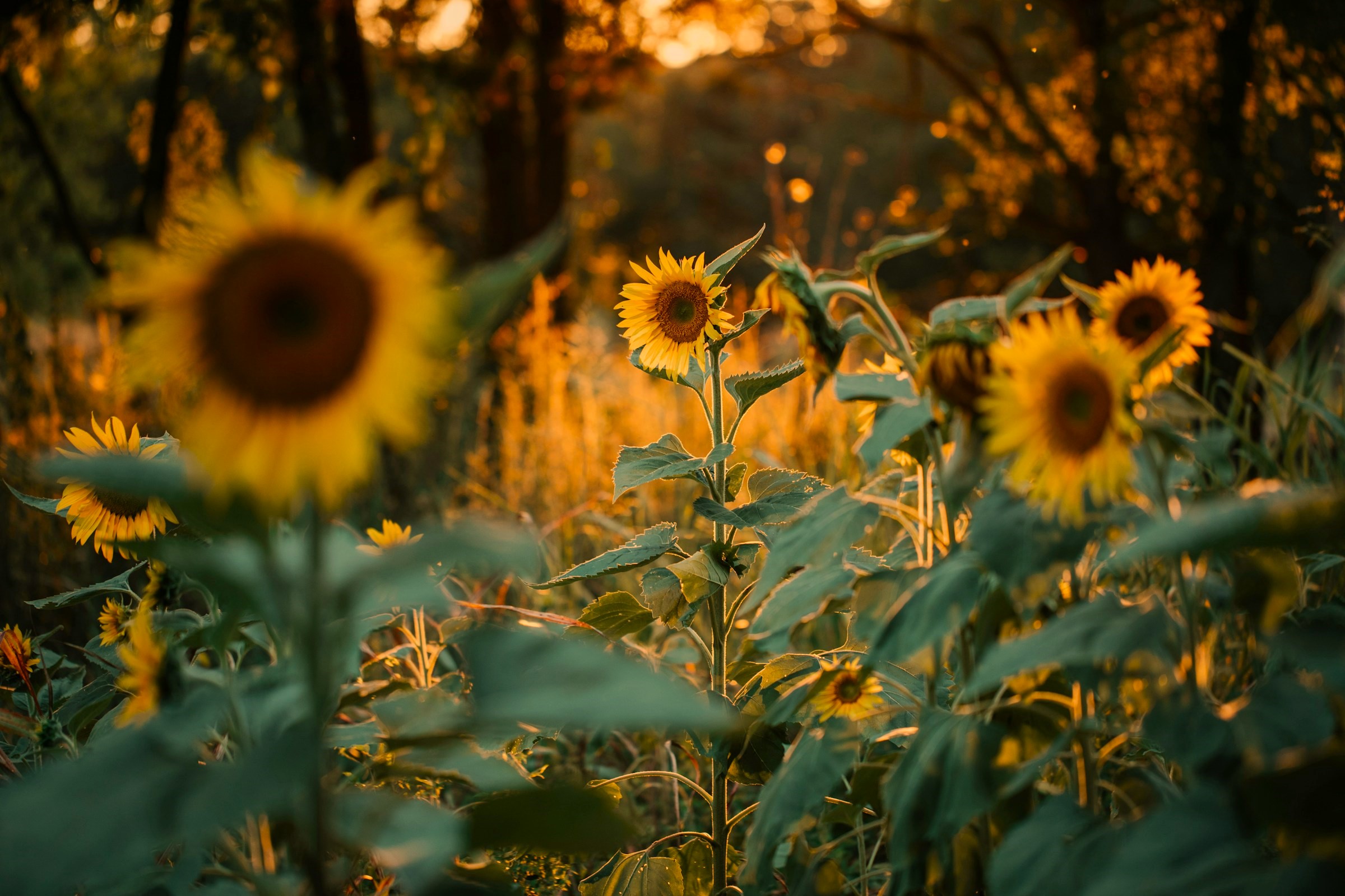 Photo Of The Day - Beautiful and Interesting Photo