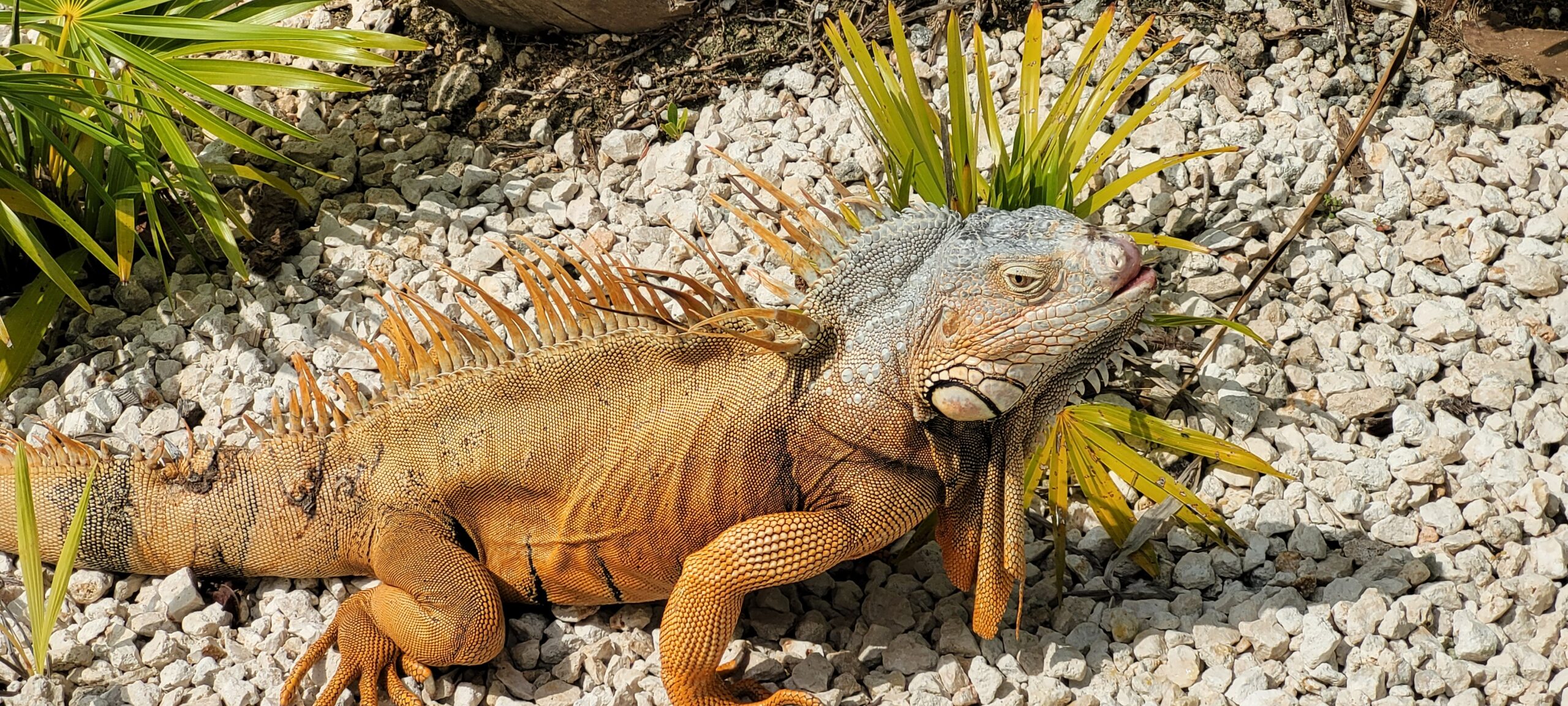 Photo Of The Day - Beautiful and Interesting Photo