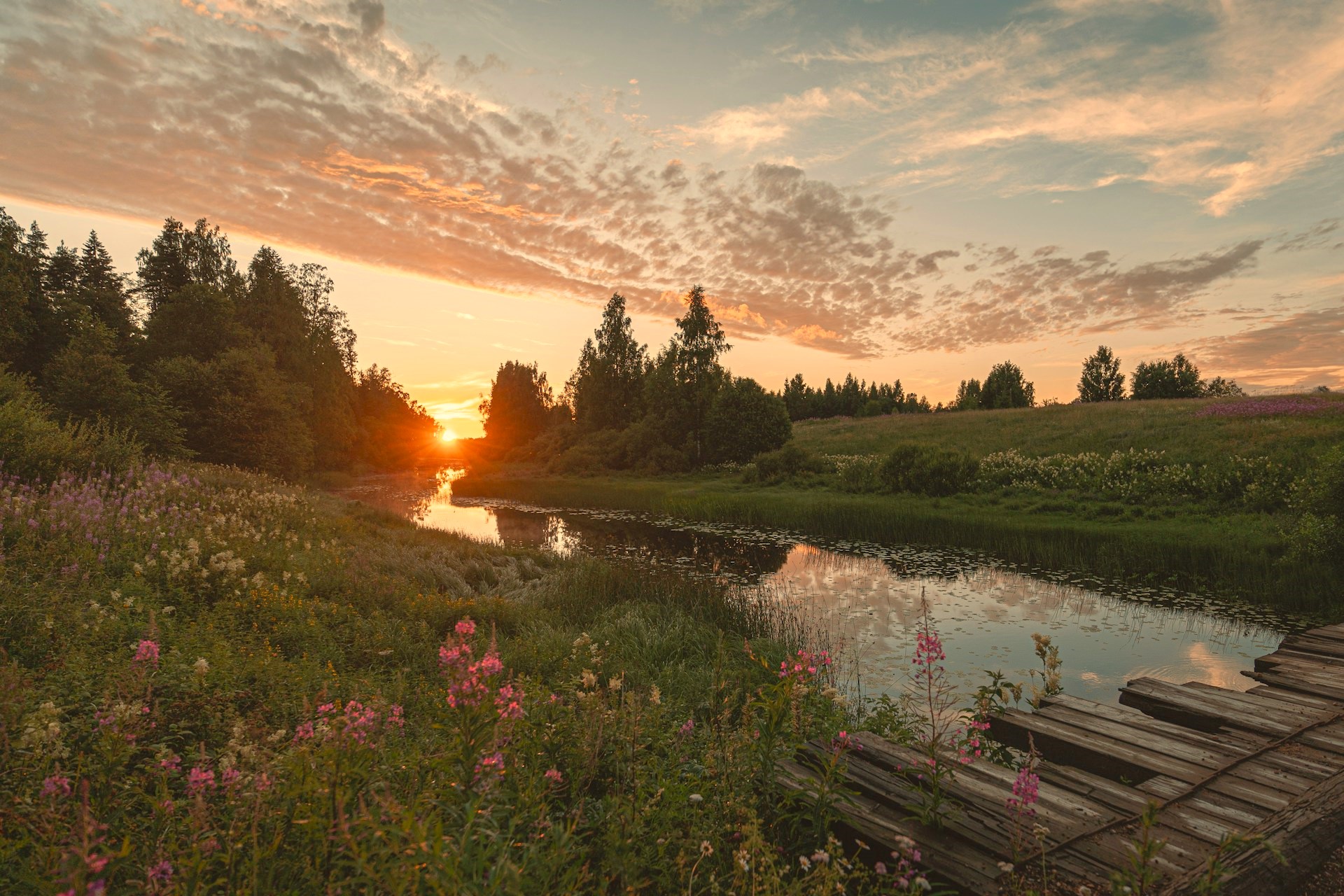 Photo Of The Day - Beautiful and Interesting Photo