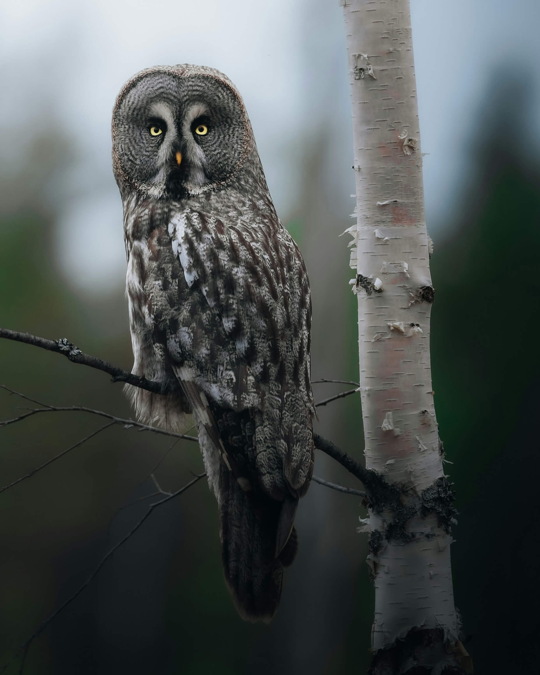 Photo Of The Day - Beautiful and Interesting Photo